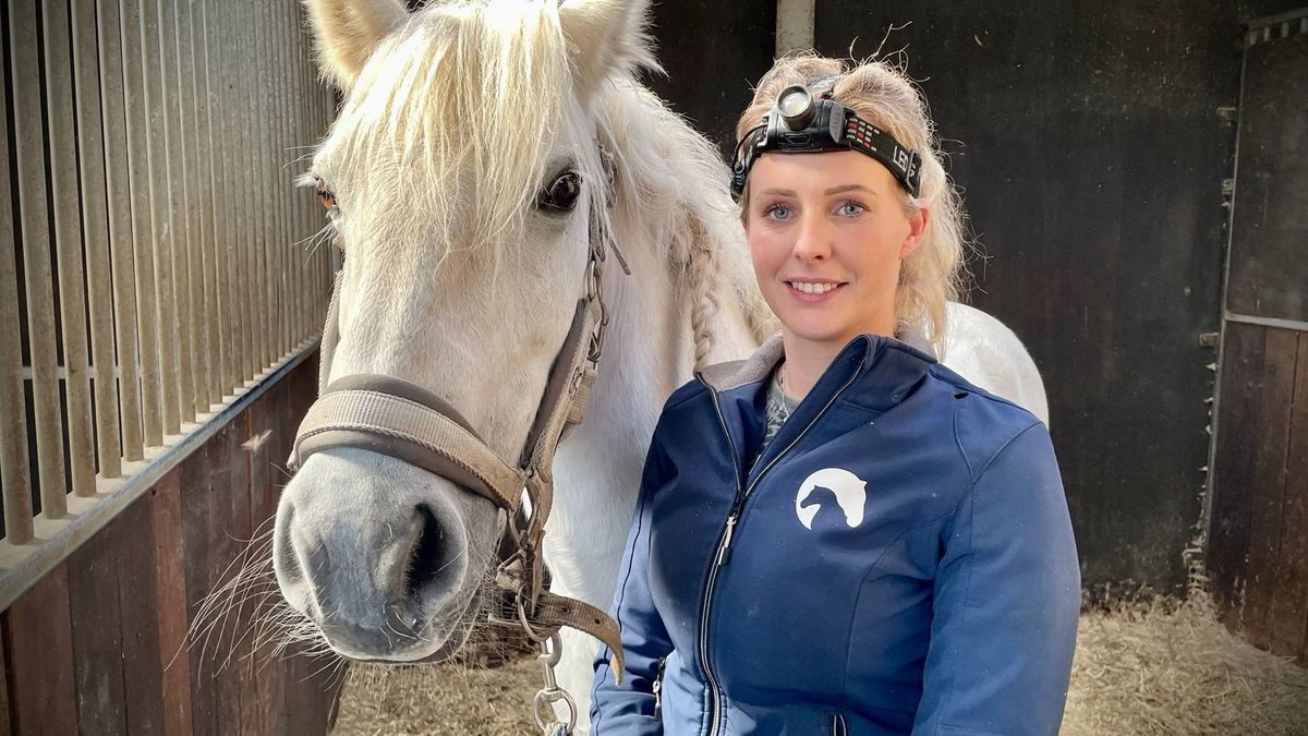 Op stap met paardentandarts Michelle van Gerner (24): "Luidruchtig ...