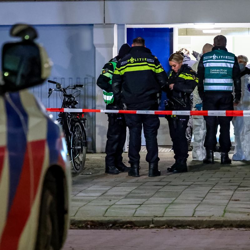 Half miljoen euro betalen en negen jaar de cel in: man die Vlaardinger door het hoofd schoot ...