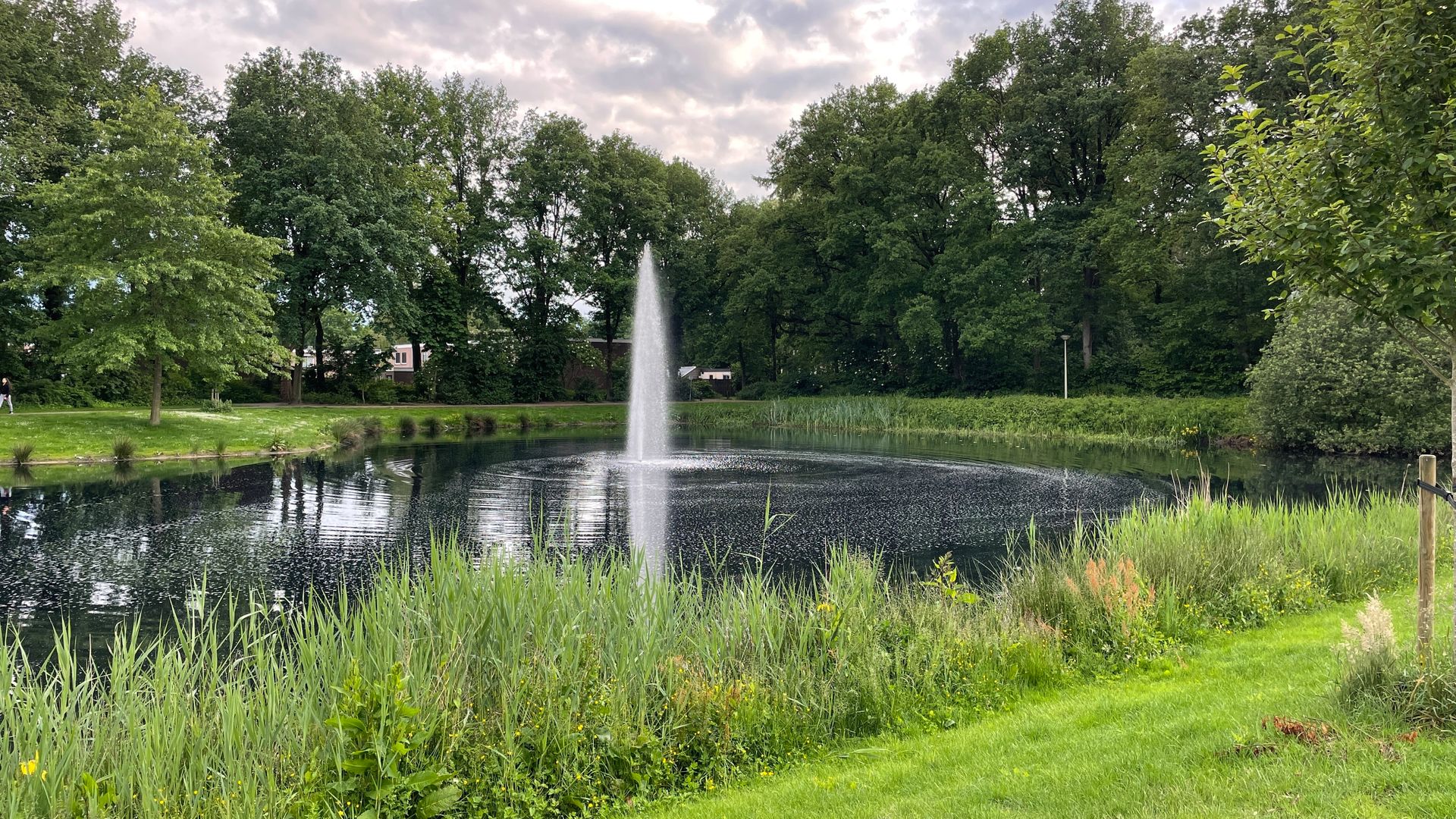 Waterschap Vechtstromen stelt verbod in om water uit vijvers te halen ...
