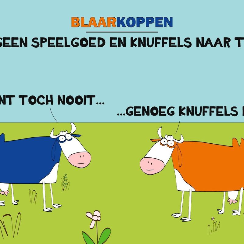 Blaarkoppen snappen het even niet - RTV Noord