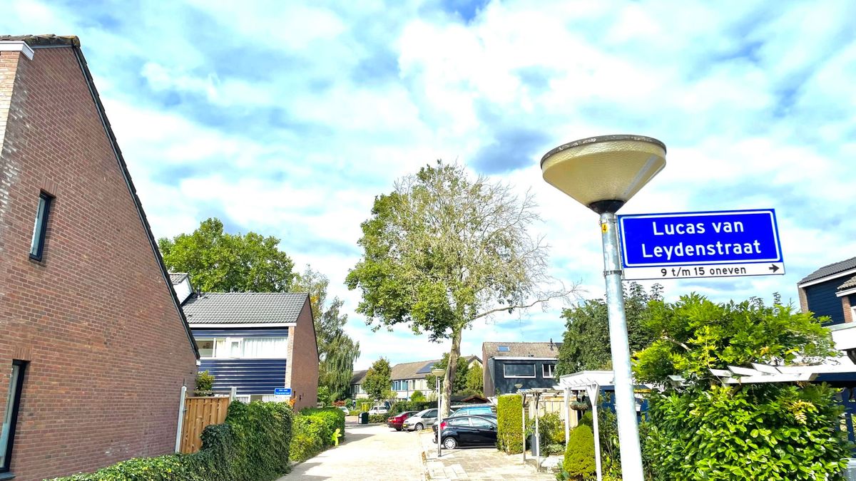 Boom vergiftigd in Meppel: dader gezocht om schade van 20.000 euro te ...