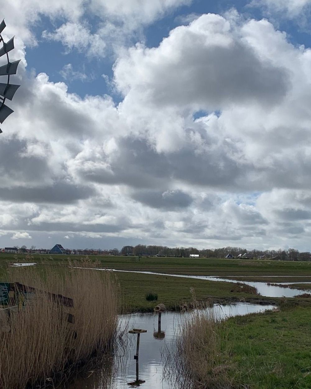 Mearderheid gemeenteried Ljouwert stimt foar komst wenwyk by ...