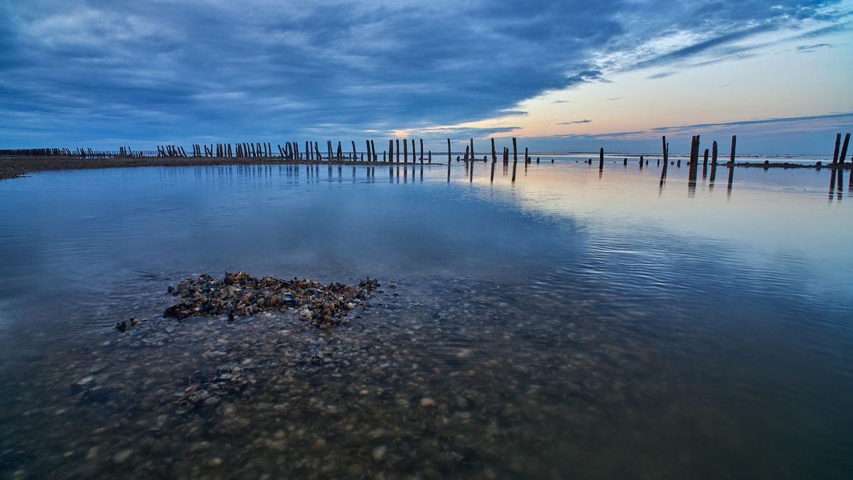 Unesco dreigt werelderfgoedstatus Waddenzee in te trekken vanwege ...