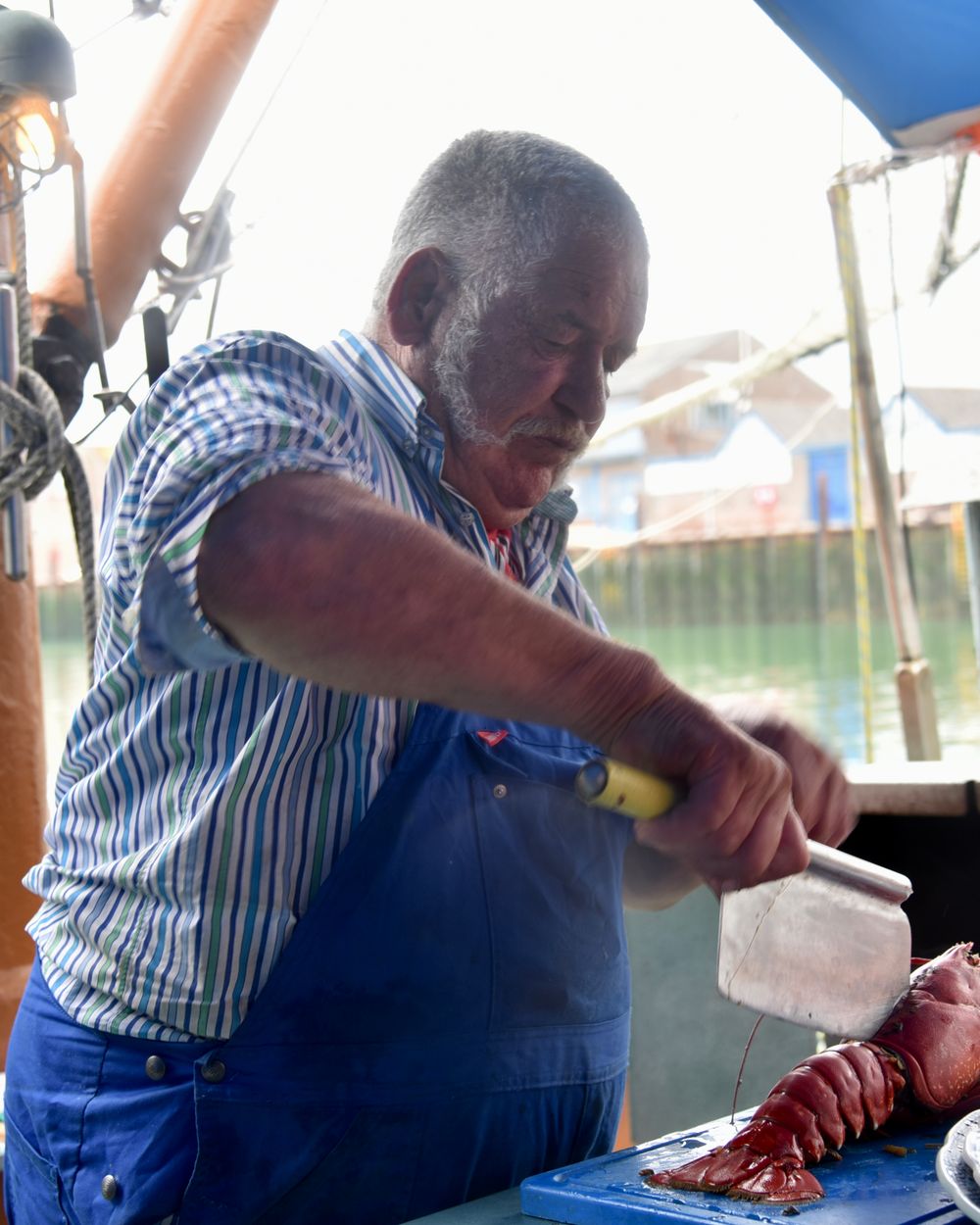 Vloeken en tieren maar toch een man met een klein hartje: documentaire ...