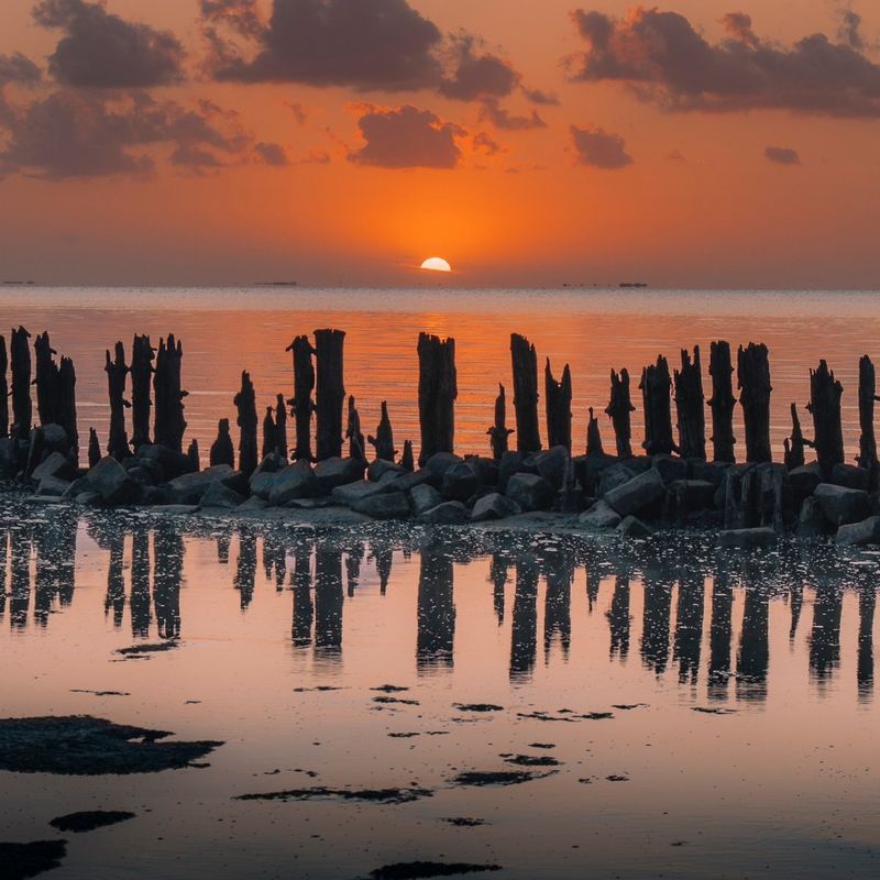 UNESCO was nog nooit zo uitgesproken: Waddenzee verliest status als ...