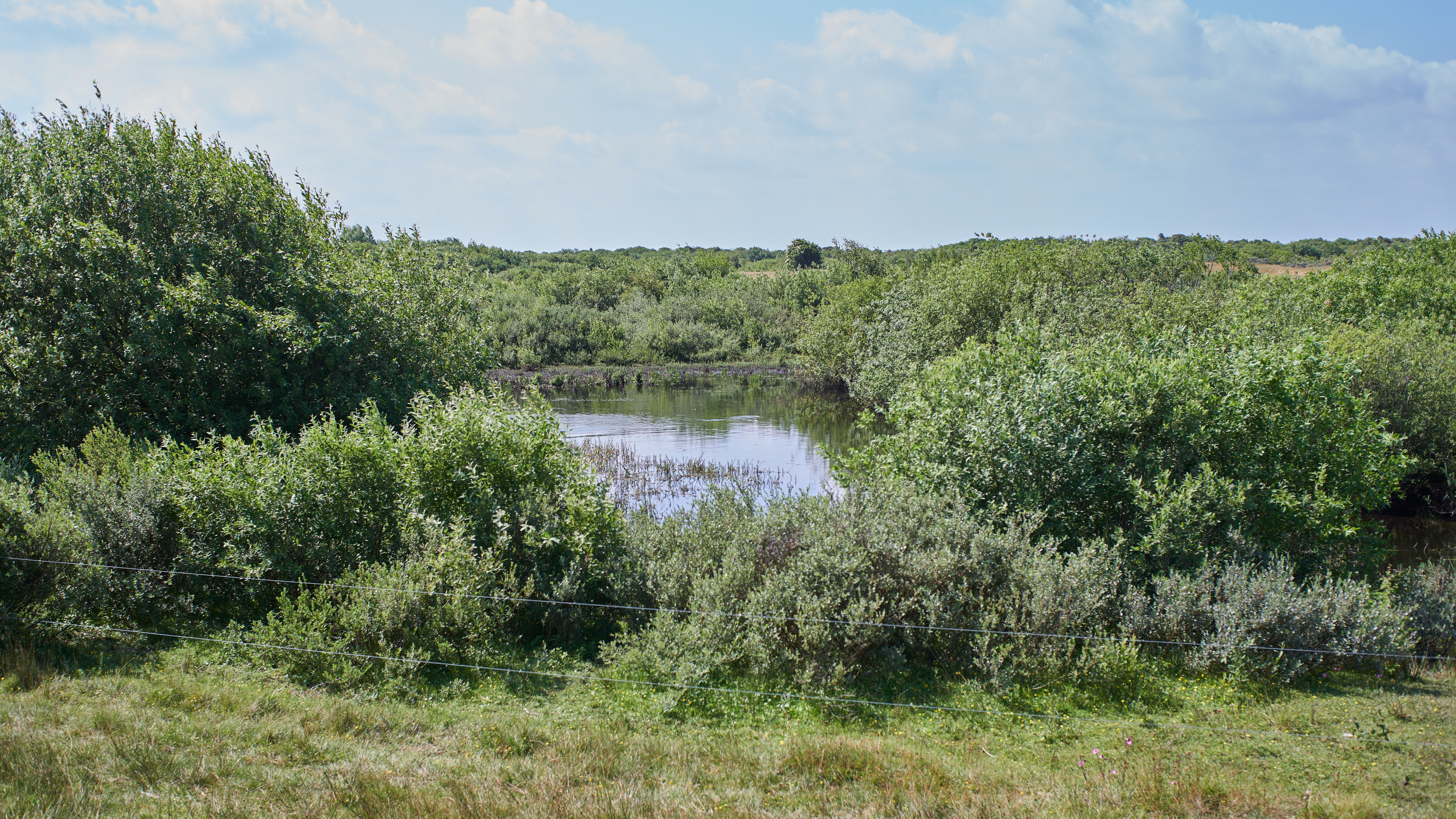 Zoet water vasthouden op een Waddeneiland werkt, ook bij droogte ...