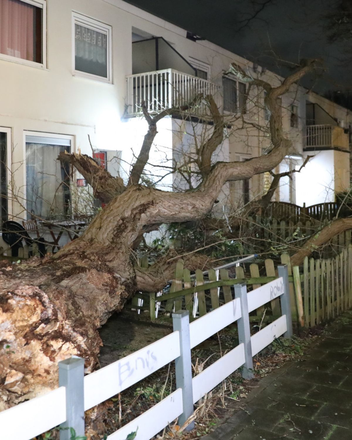 Schade door storm Conall: bomen omgewaaid, boot losgeslagen - Omroep West