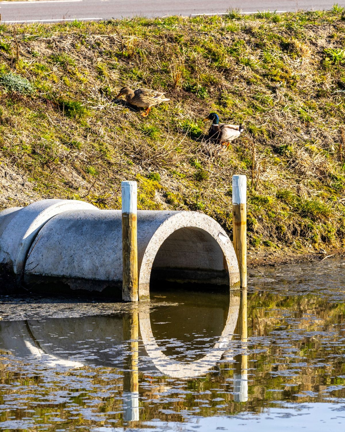 Slootwater bevat nog steeds schadelijke stoffen: 'Nóg slechter dan ...