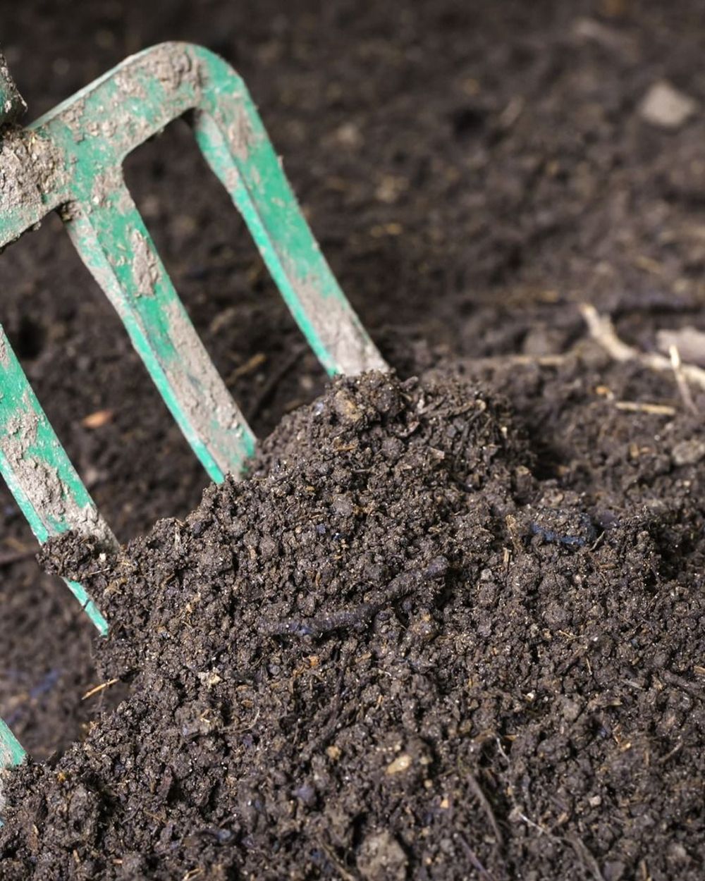 Compost als beloning voor goed scheiden van gft-afval: "Het gaat goed ...