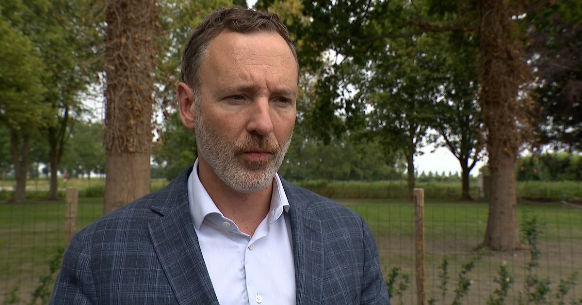 ZLTO reageert op strenge stikstofplannen van kabinet: 'Maak ...