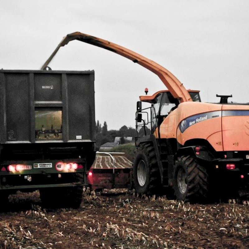 Opgepast op de weg: maisoogst in Overijssel in volle gang - Oost Opgepast op de weg: maisoogst in Overijssel in volle gang - Oost
