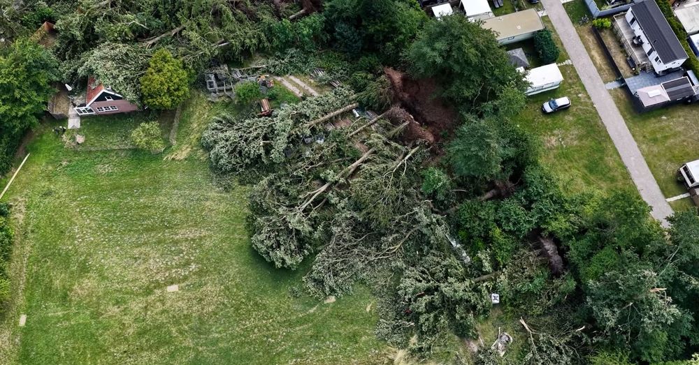 Valwind legt landgoed plat: ‘In tien minuten gingen vijftig bomen ...