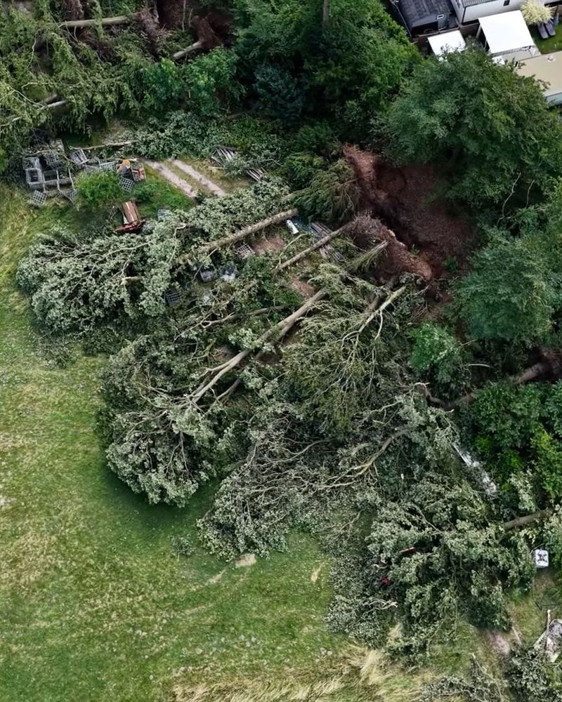 Valwind legt landgoed plat: ‘In tien minuten gingen vijftig bomen ...