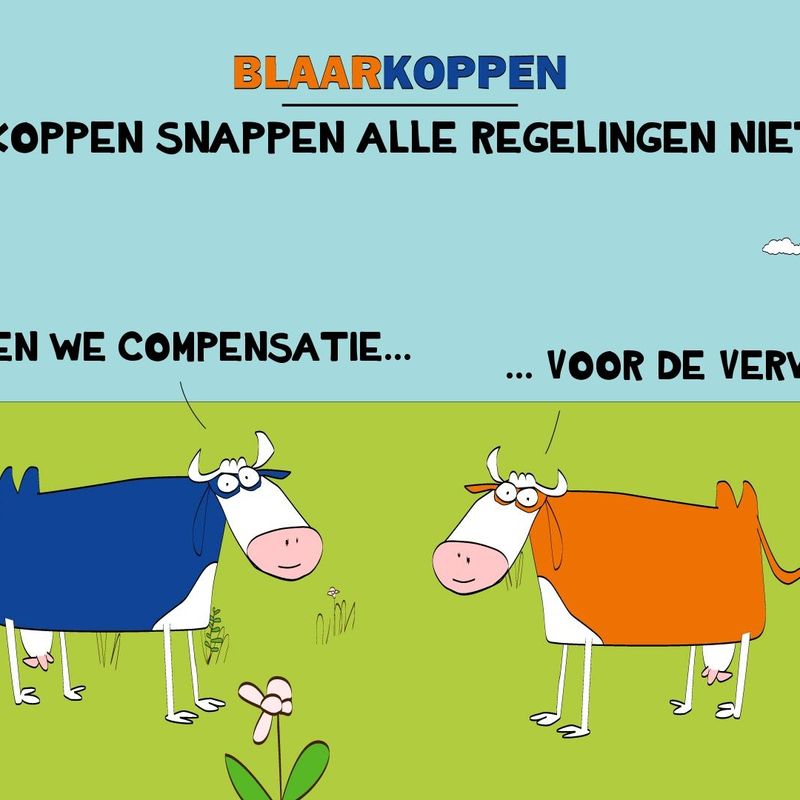 Blaarkoppen snappen alle regelingen ook niet meer - RTV Noord
