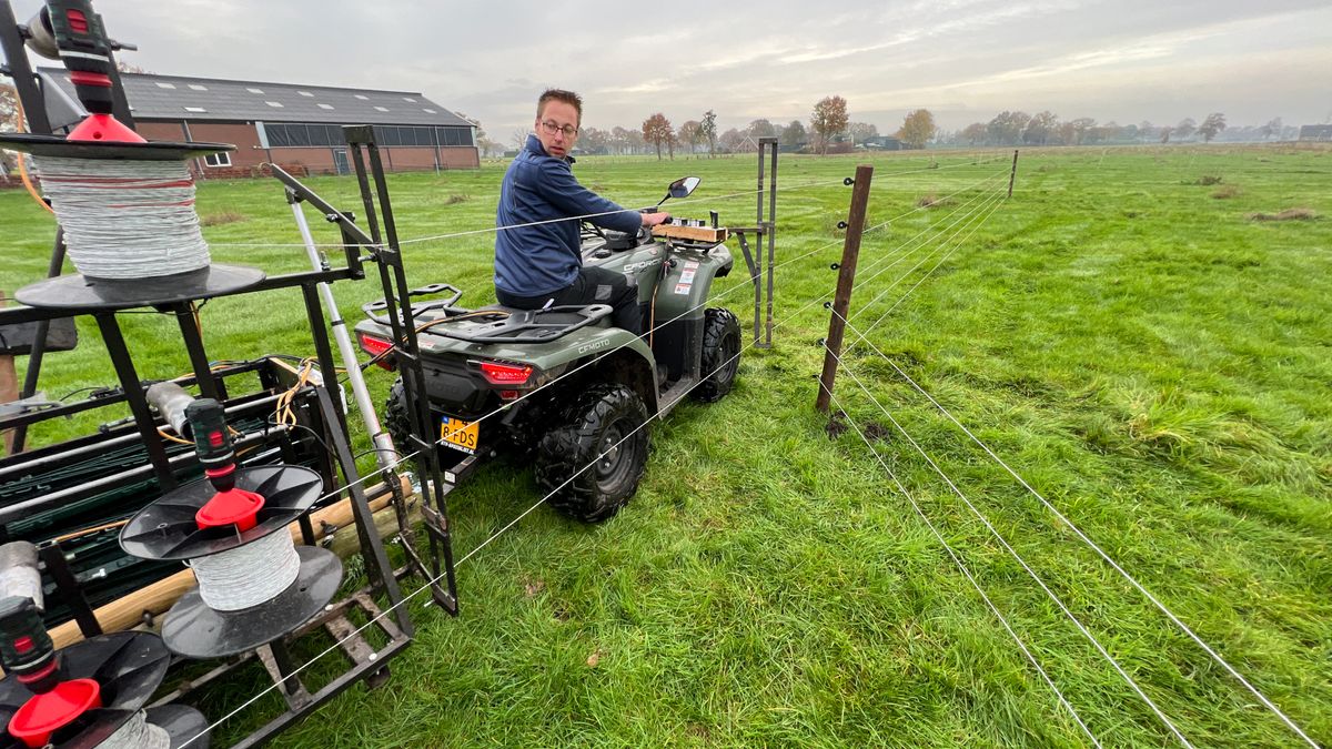 Drentse wolvencommissie: verplaatsbare rasters met stroomdraden werken ...