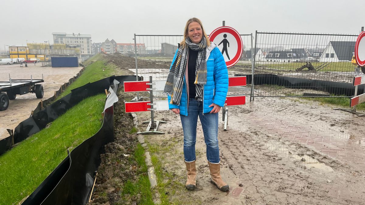 Ondanks vertraging door rugstreeppad nu toch ophoging van de dijk in ...