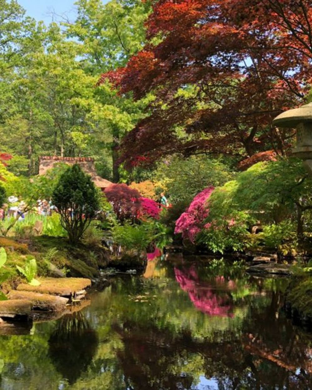 Japanse Tuin weer open, dit is waarom je maar zo kort naar binnen kan - Den Haag FM