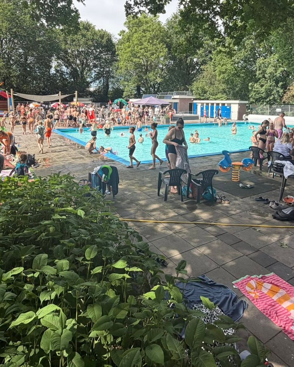 Swimbad Garyp slút troch ikeprosesjerûp: bern mei bultsjes en ...