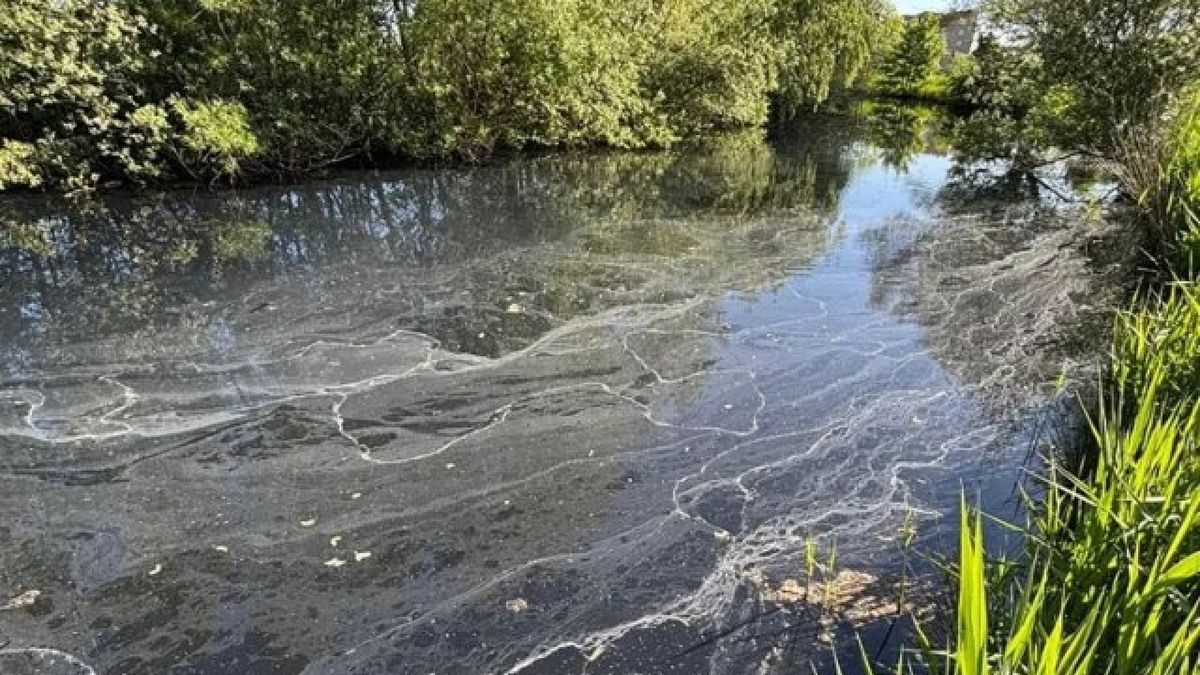 Water in sloten en vijvers vervuild, contact moet vermeden worden ...