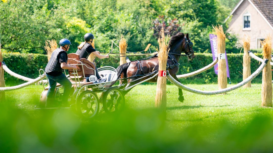 In Beeld: paarden vliegen over parcours bij menwedstrijd Zuidwolde ...