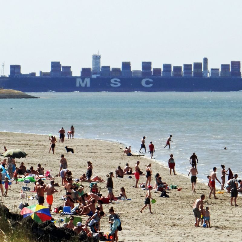 Te druk? Dan toegangswegen naar strand Perkpolder afgesloten - Omroep ...
