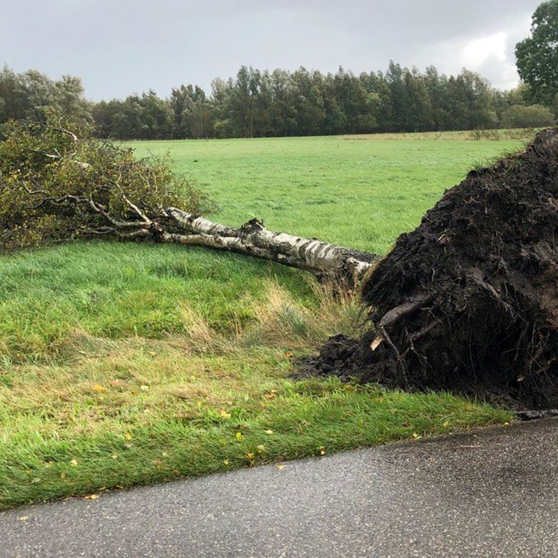 Twaalf meldingen van stormschade, auto in de sloot in Blijham - RTV Noord
