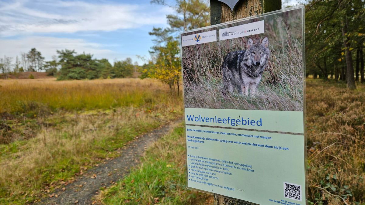 'Wolf sleept jongetje het bos in', landgoed Den Treek roept op niet ...