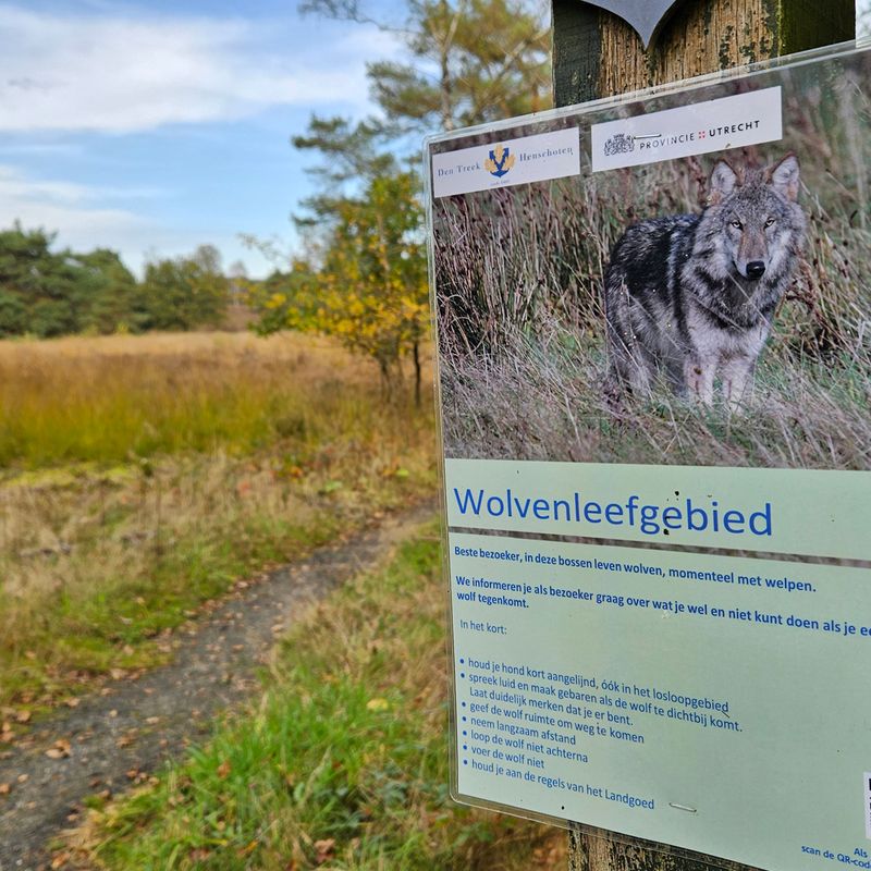 'Wolf sleept jongetje het bos in', landgoed Den Treek roept op niet ...
