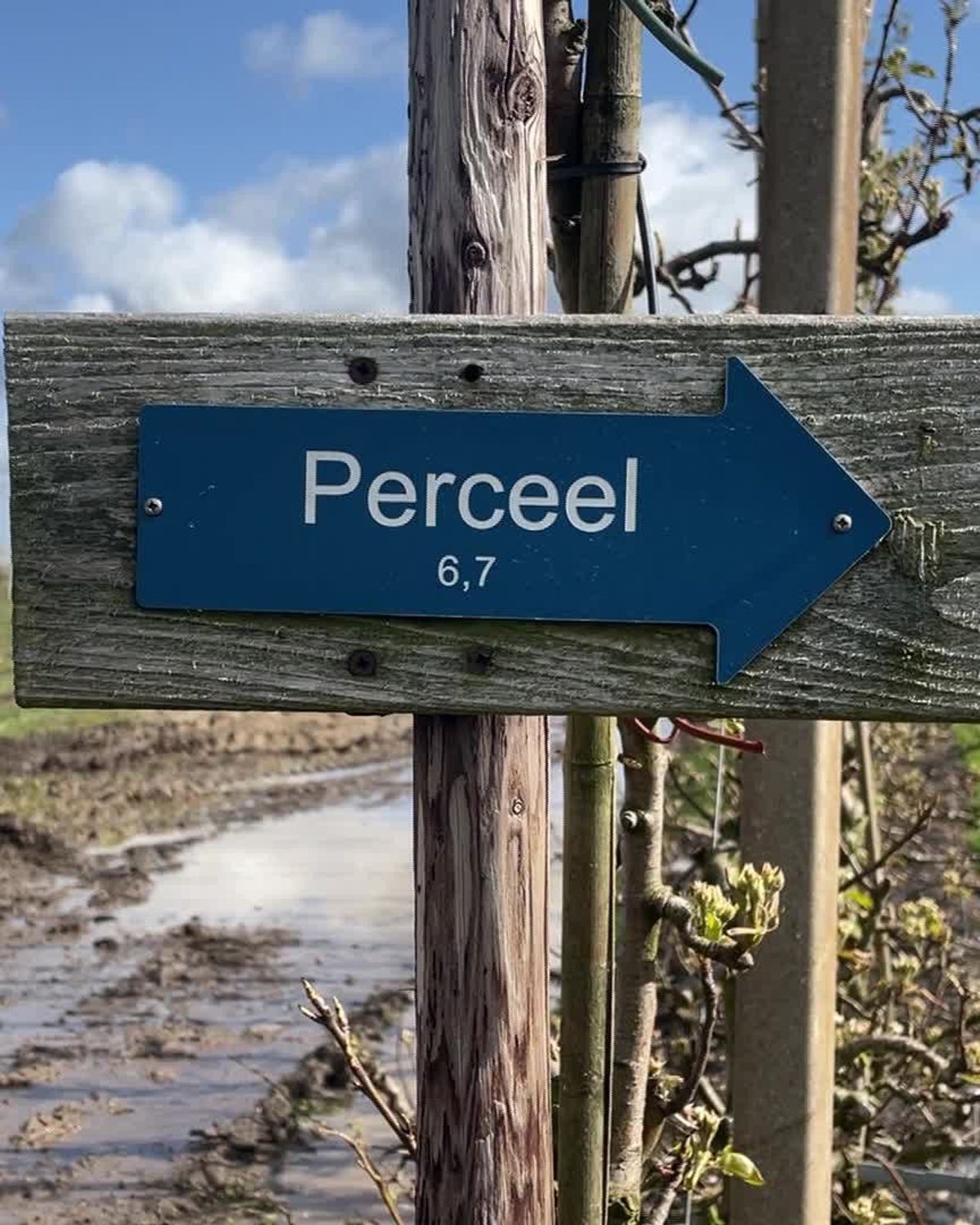 Johan heeft een nachtvorstwekker - RTV Utrecht