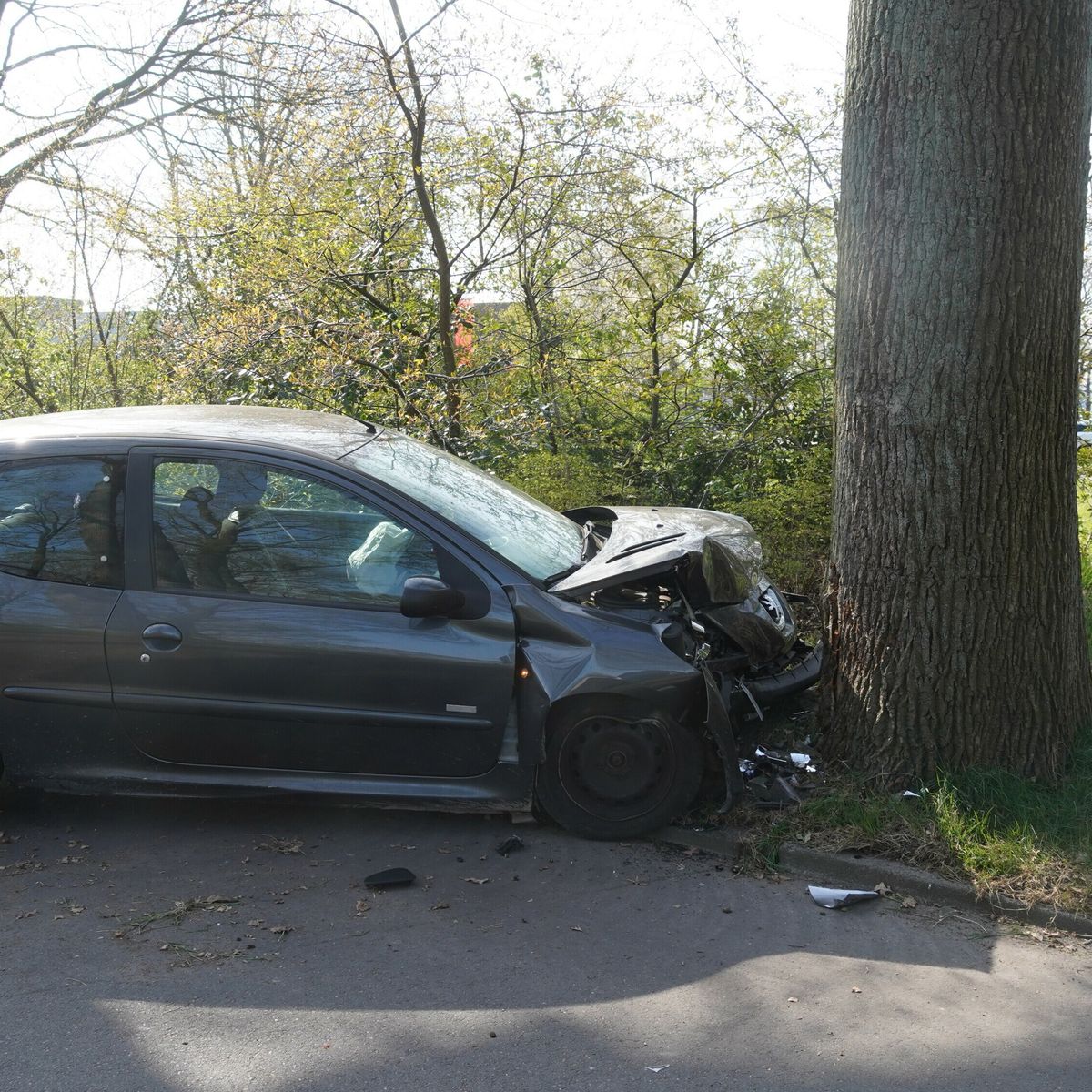 Automobilist knalt met auto tegen boom in Emmen en moet mee naar bureau - RTV Drenthe