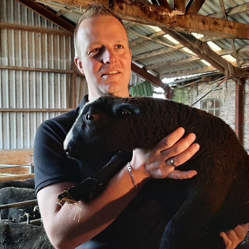 Wiepke Lam is trots op zijn bijzondere zwartblesschapen: "Het is een ...