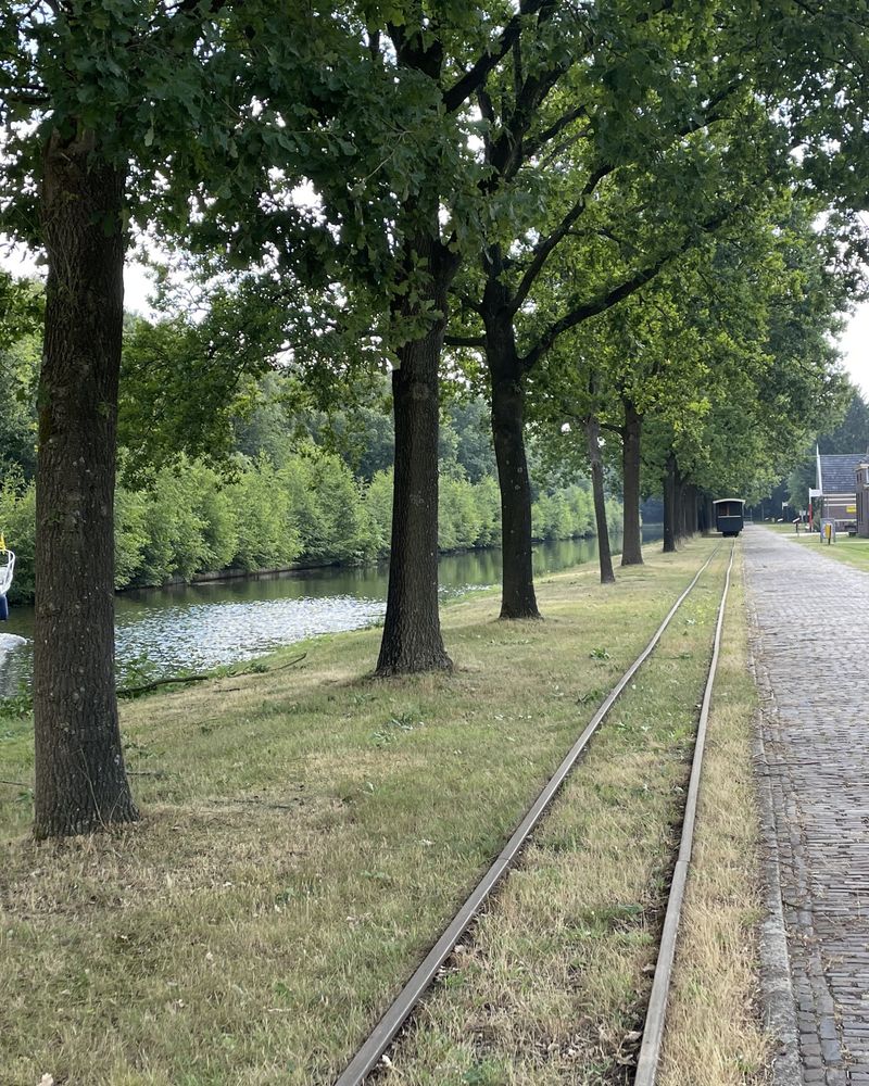 Theaterspektakel Veenbrand verkast naar Veenpark Barger-Compascuum ...