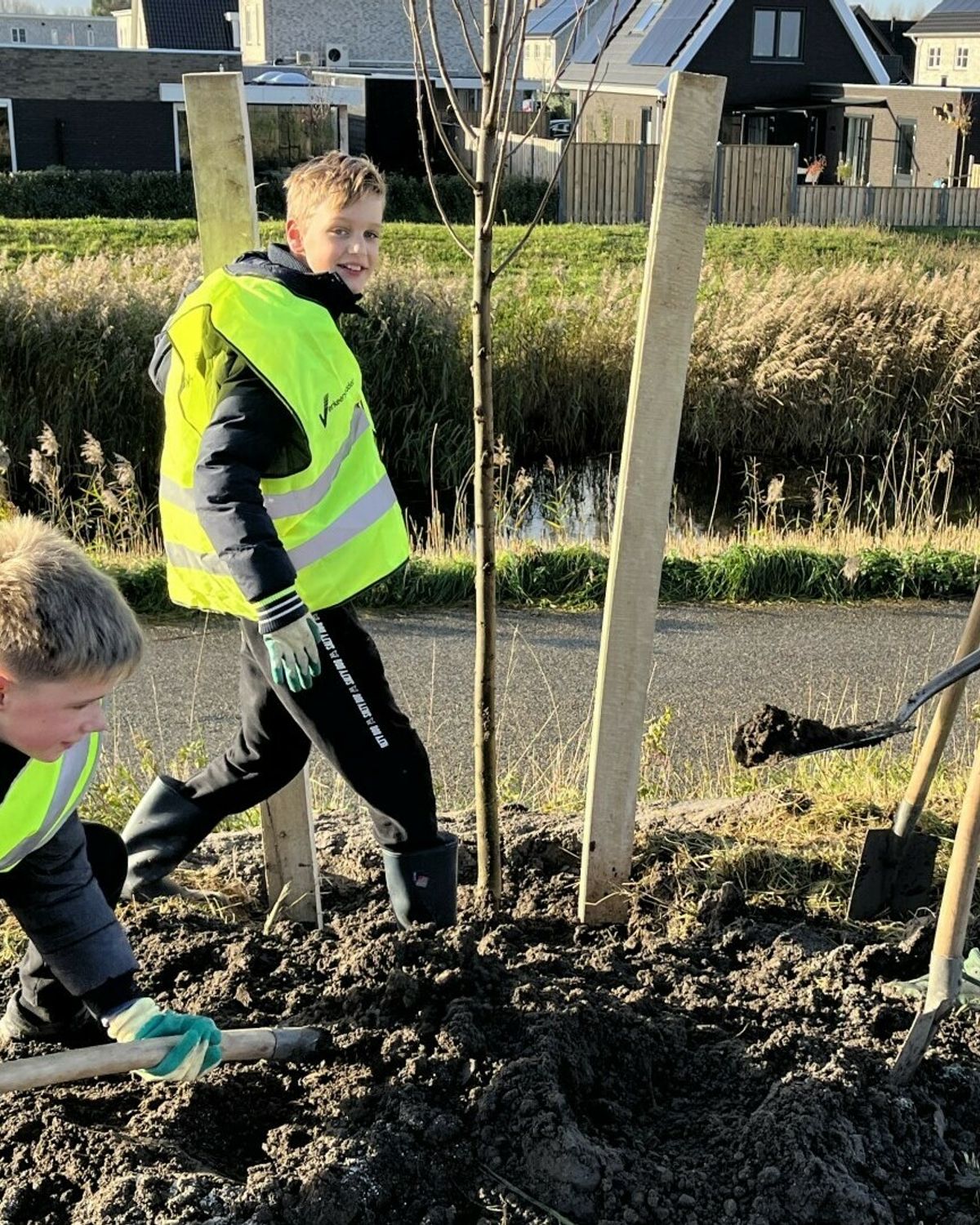 Kortgene viert Boomfeestdag met veertig nieuwe bomen - Omroep Zeeland