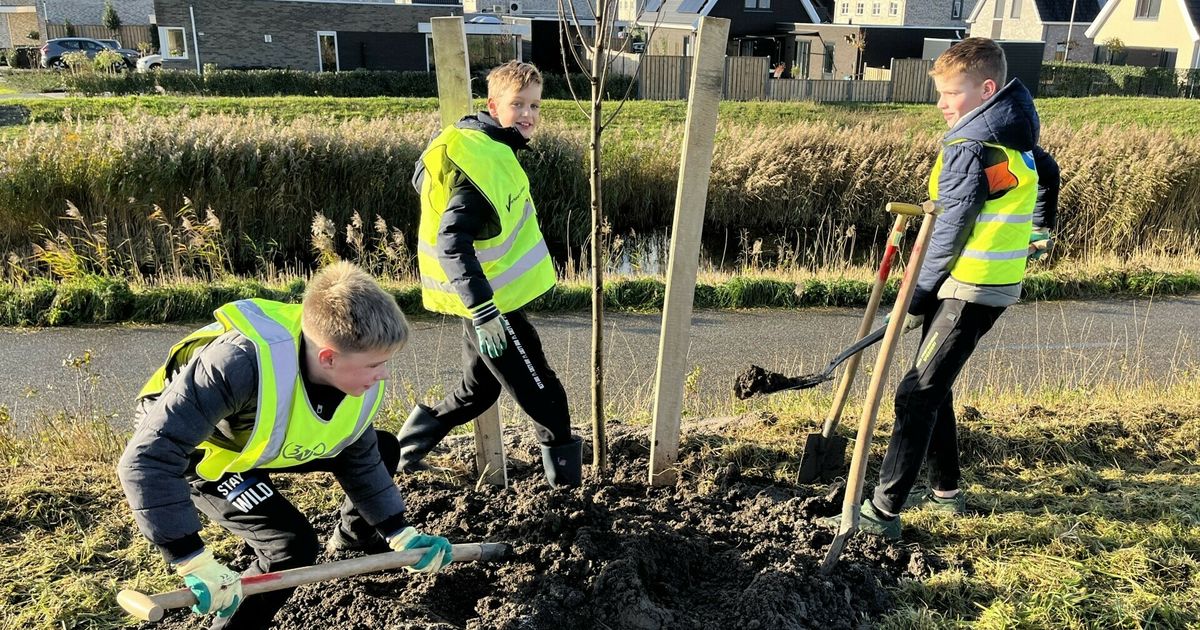 Kortgene viert Boomfeestdag met veertig nieuwe bomen - Omroep Zeeland