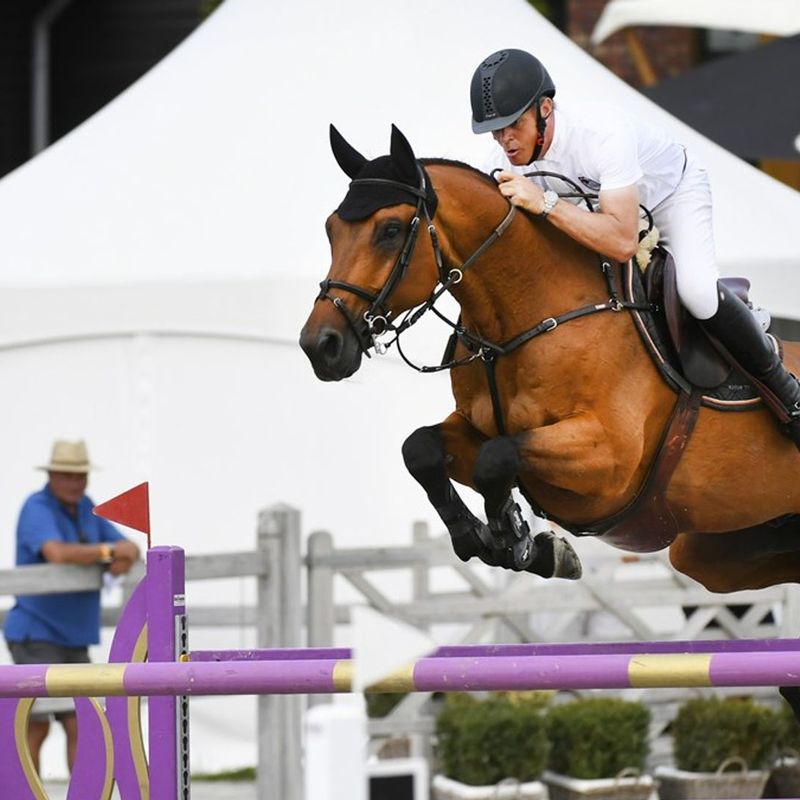 Paard verkocht, Jeroen Dubbeldam niet naar Olympische Spelen - Oost Paard verkocht, Jeroen Dubbeldam niet naar Olympische Spelen - Oost