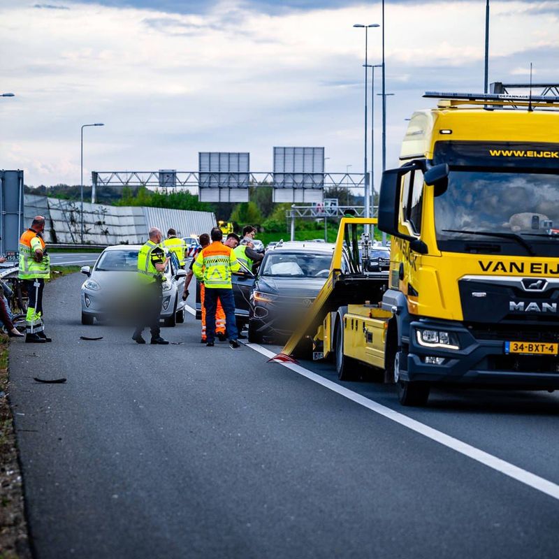 Kettingbotsing • gewonde gans - Omroep Gelderland