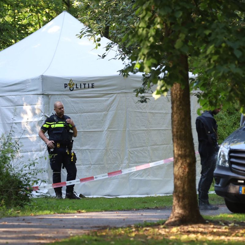 Dode in park Rijswijk is Poolse man (33), mogelijk sprake van misdrijf - Omroep West