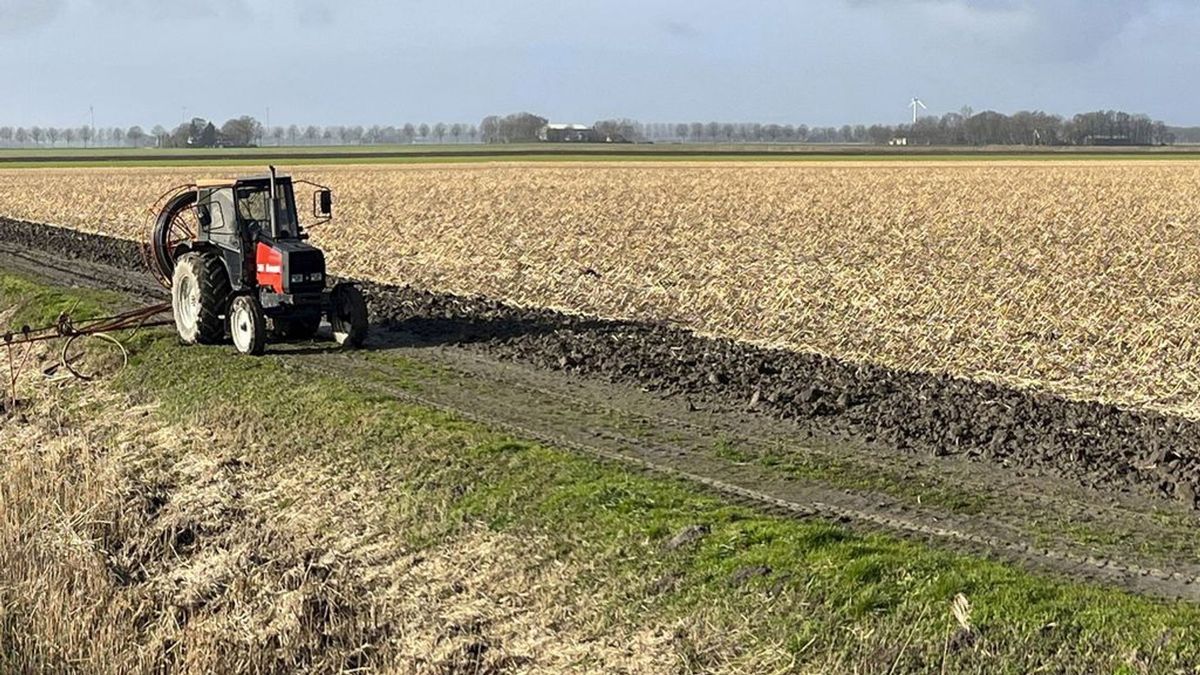 Geld verdienen op de akker en tegelijk natuur helpen, kan dat? - Omroep ...