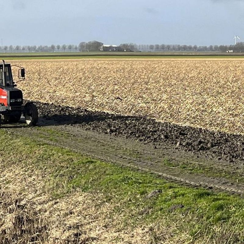 Geld verdienen op de akker en tegelijk natuur helpen, kan dat? - Omroep ...