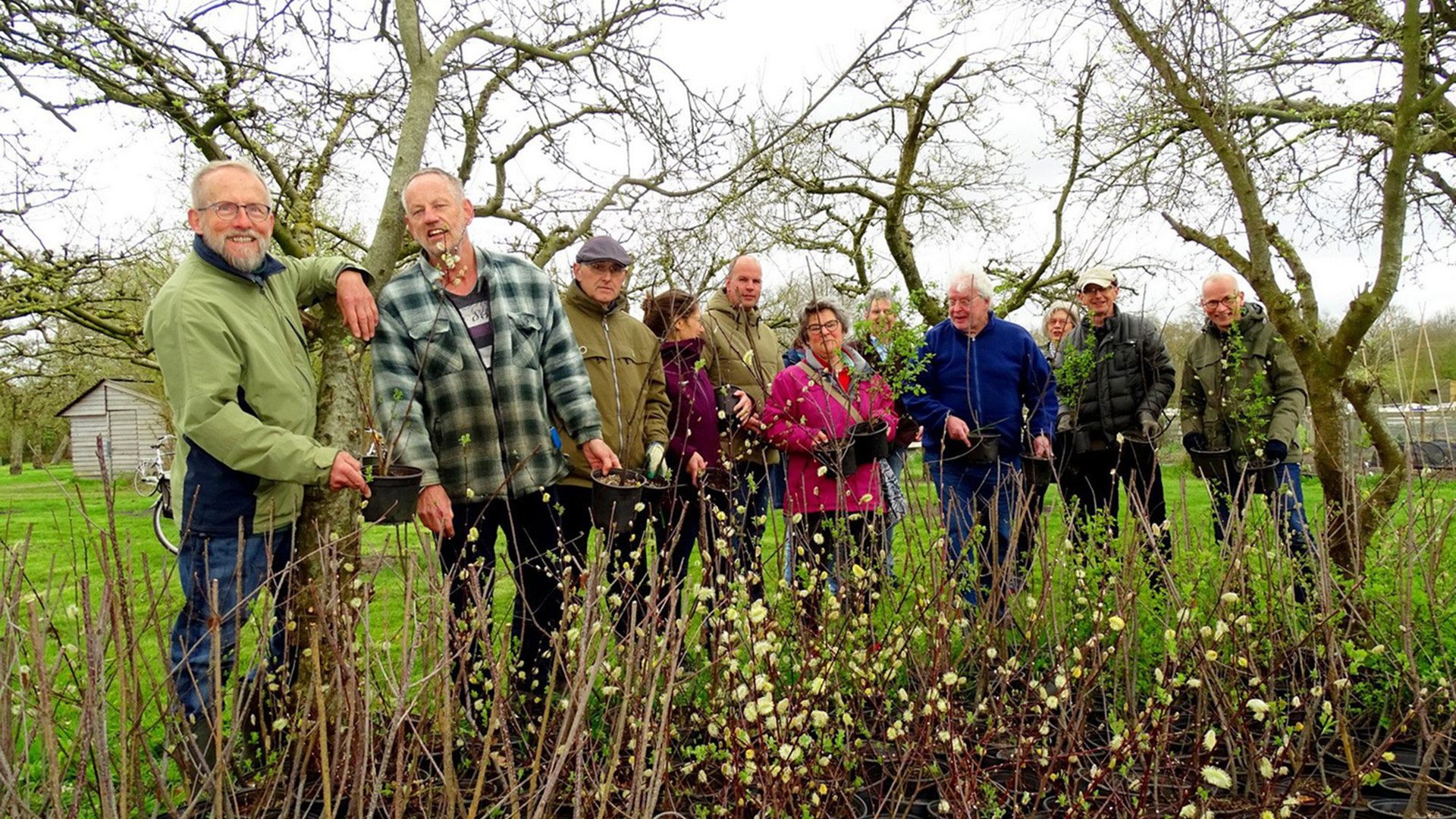 Boompjes voor jarige Natuurvereniging Zuidwolde - RTV Drenthe