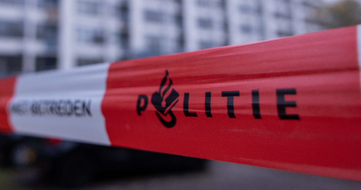 Overleden persoon aangetroffen in Utrechtse wijk Oog in Al - RTV Utrecht