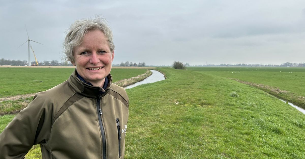 De historische Slachtedyk werd ooit met de hand aangelegd: "Was een ...