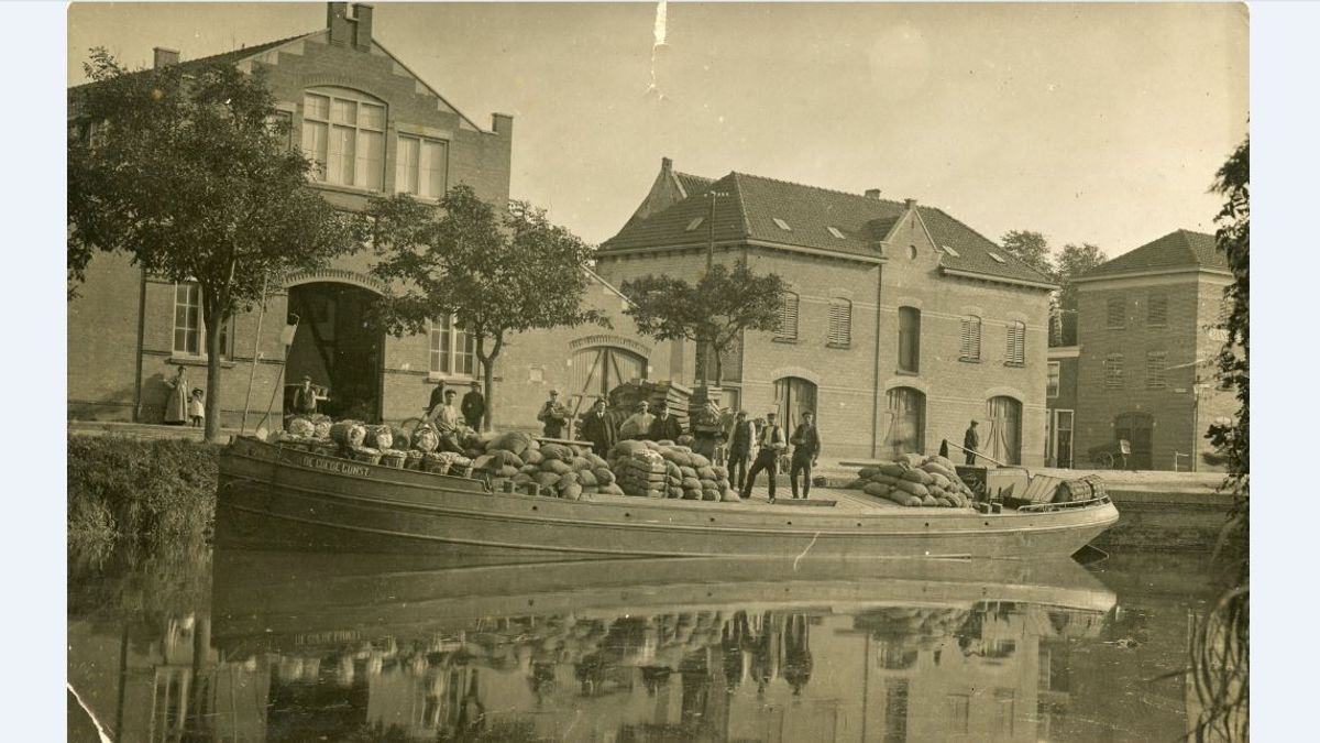 Vergeten Verhalen: tuinbouw in centrum Brielle - Rijnmond