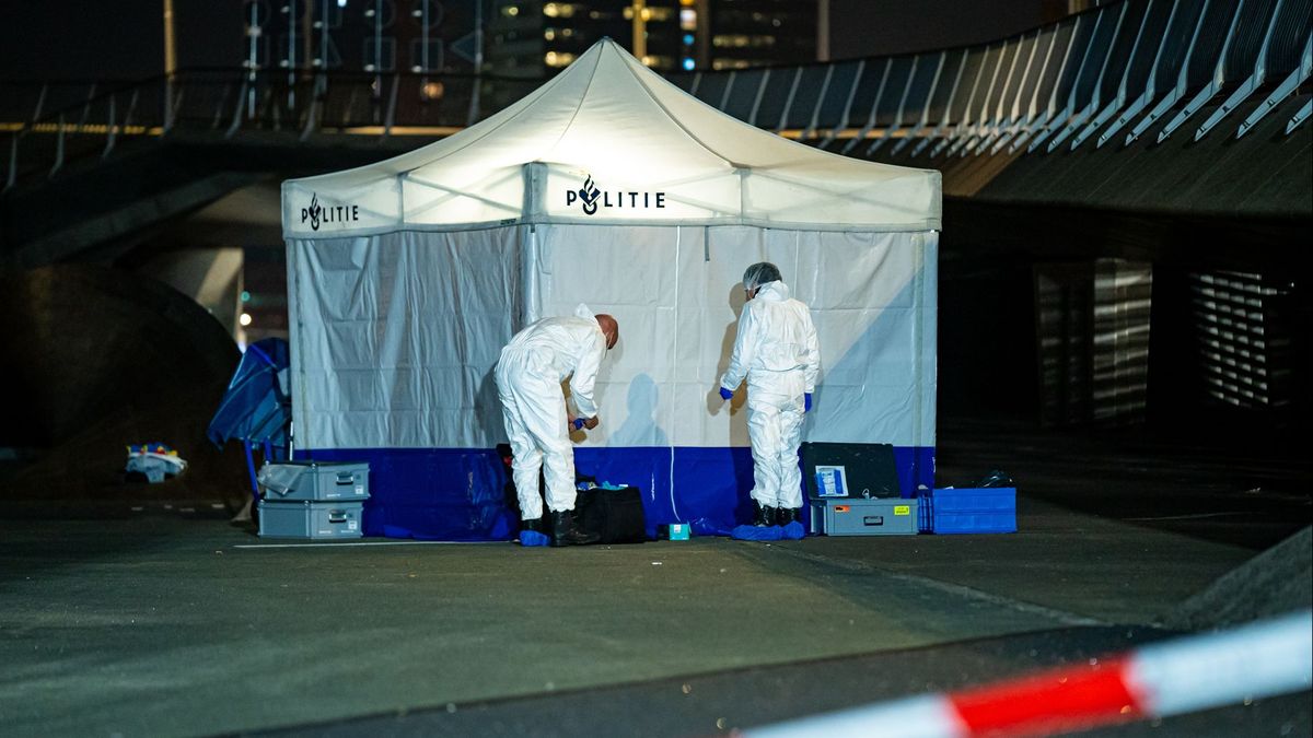 Verdachte steekpartij Rotterdam pleegde ernstige delicten in Gelderland ...