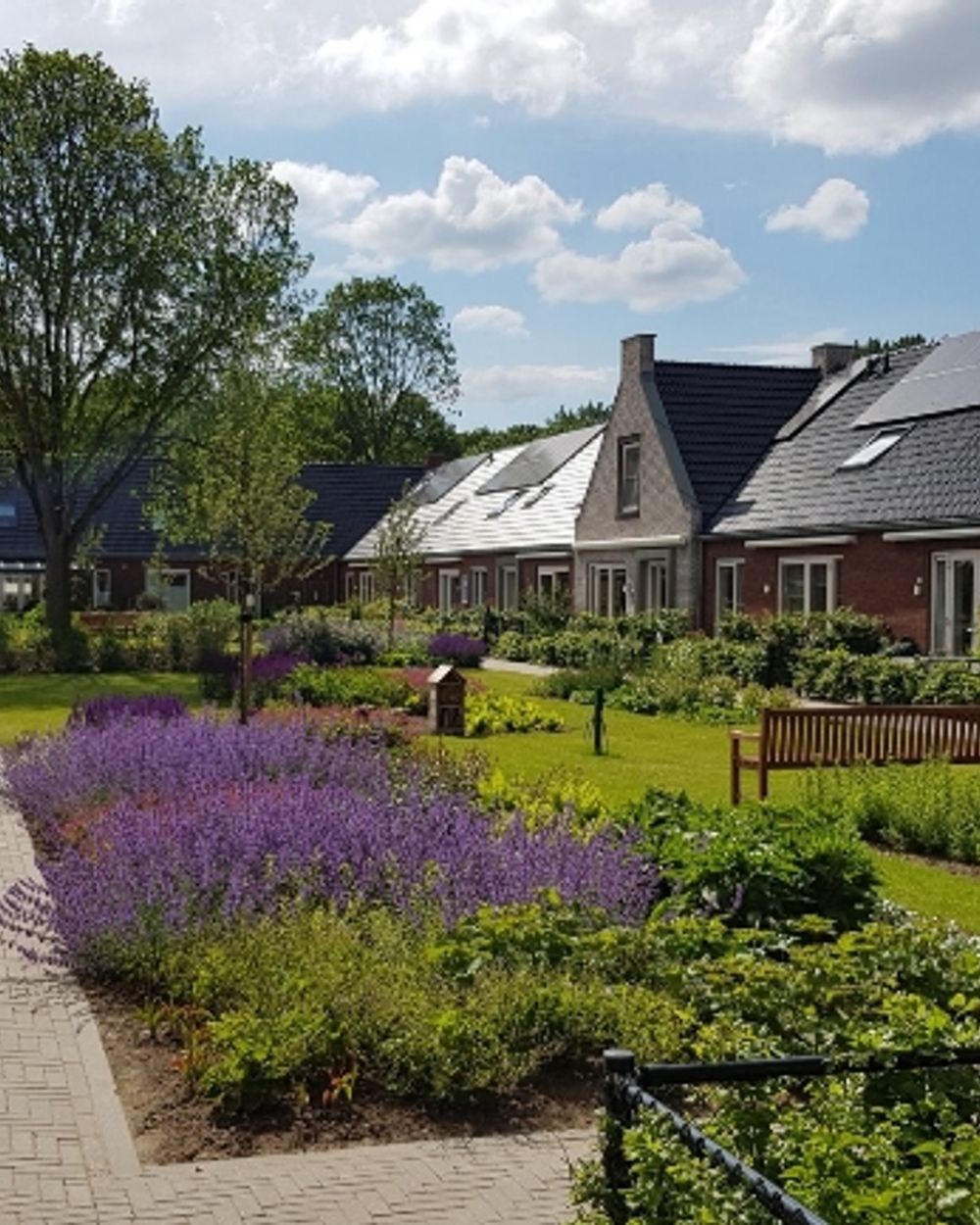 Krijgt Assen met een Knarrenhof een soort minidorpje? - RTV Drenthe