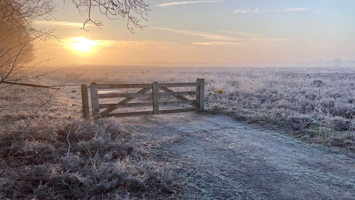 Vorst in Drenthe: Eelde was vannacht de koudste plaats van Nederland ...