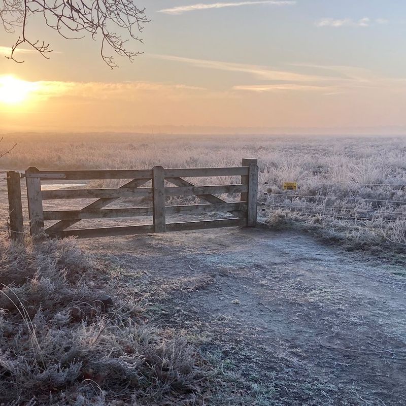 Vorst in Drenthe: Eelde was vannacht de koudste plaats van Nederland ...