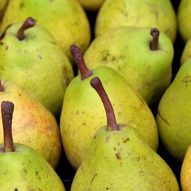 Dringende oproep van perenteler: 45.000 kilo aan 'klein maar fijne ...