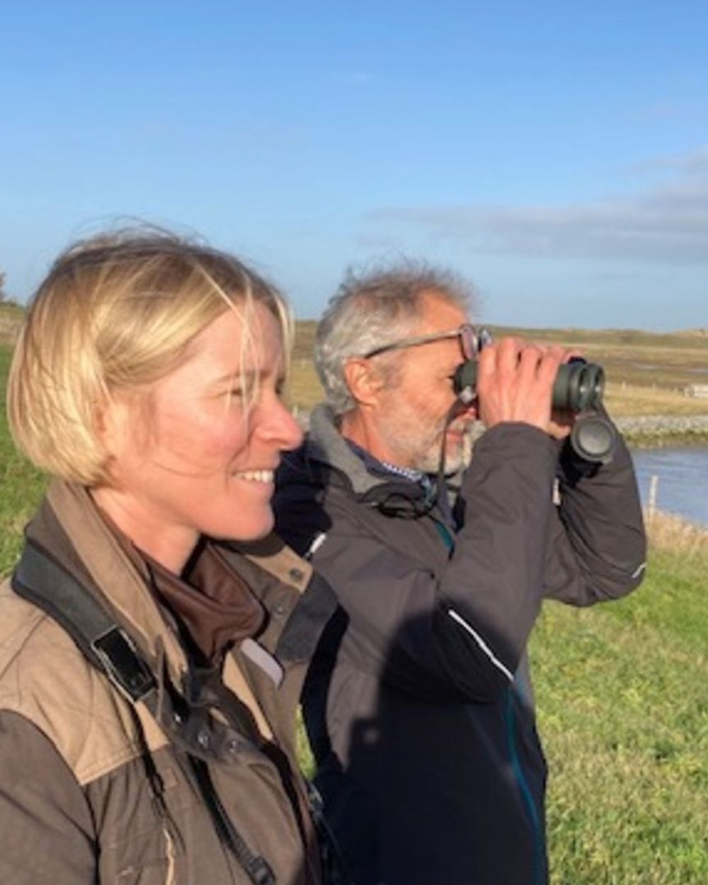 Ontpoldering natuurgebied Zwin succesvol: 'trekpleister voor veel meer ...