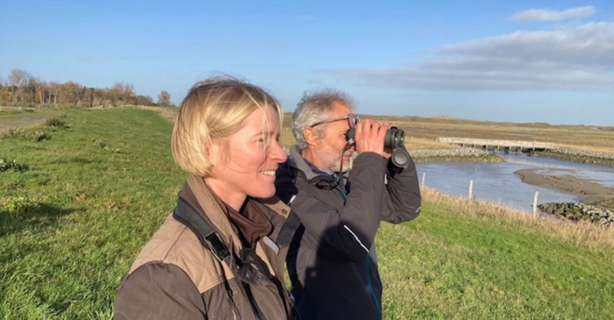 Ontpoldering natuurgebied Zwin succesvol: 'trekpleister voor veel meer ...